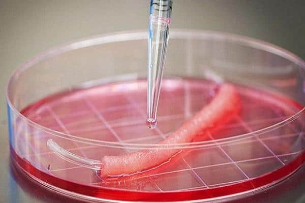 Tissue Engineering Market Size, Share, and Growth Analysis Tissue Engineering Market Size, Share, and Growth Analysis
