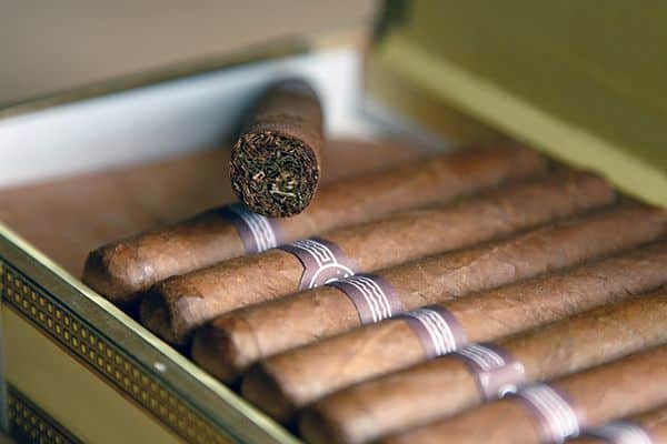 Global Cigar & Cigarillos Market Size, Share | Industry Report 2029